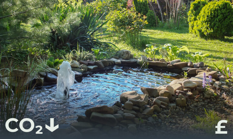 Dig A Pond - Create A Garden Eco-System - The Great Collaboration